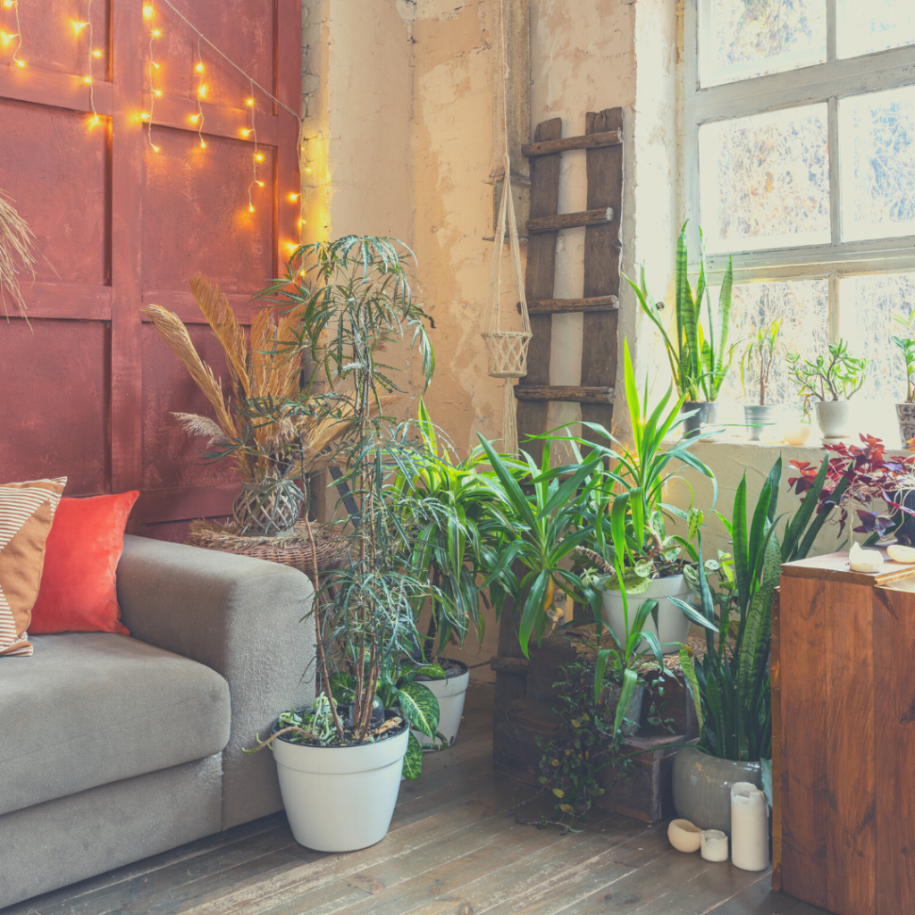 Healing Houses for Healers | boulderpsychicinstitute.org